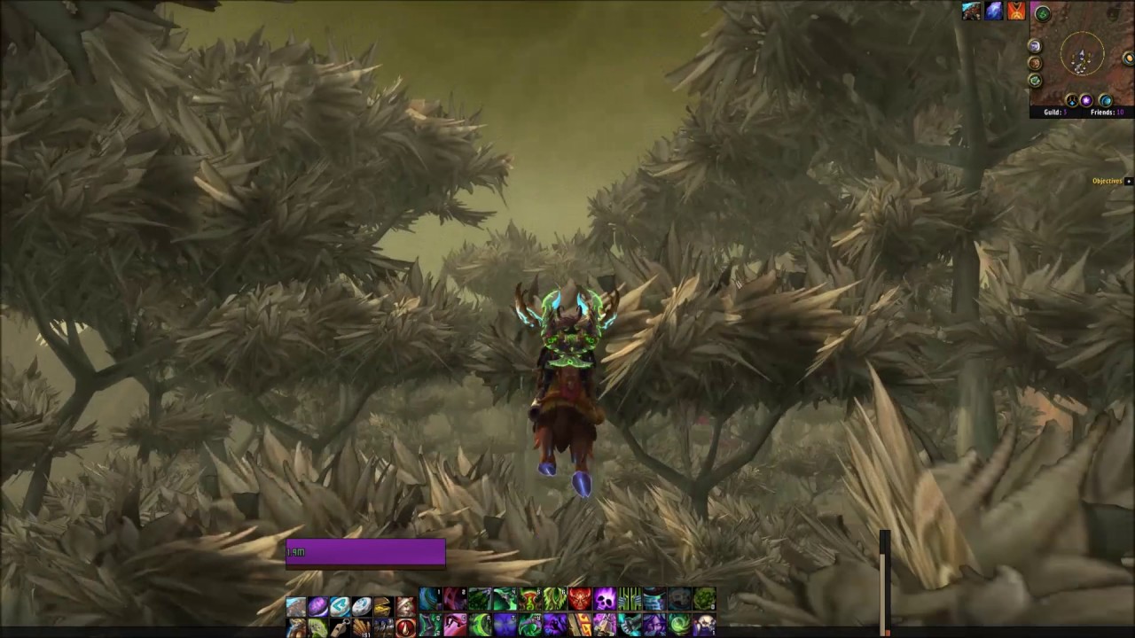 Gruul's Lair Entrance Location (The Burning Crusade Raid) - YouTube
