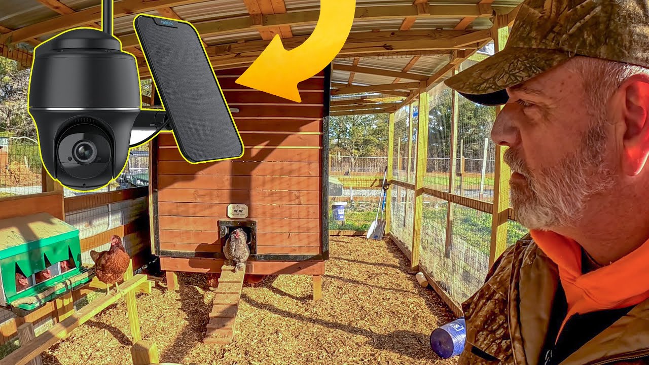 Chicken Coop Tour and Why You Need Cameras - YouTube