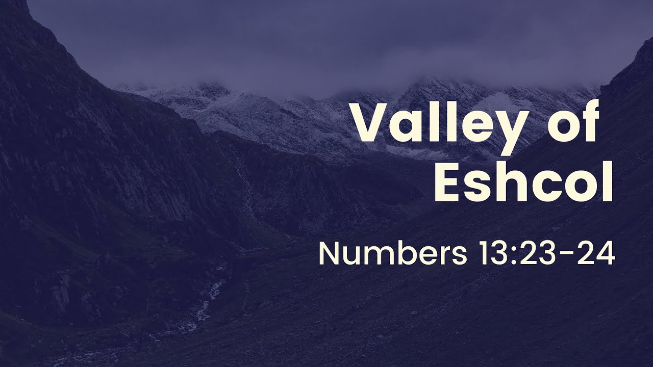 The Valley of Eshcol (HV Kids) | Larry Tankson - YouTube