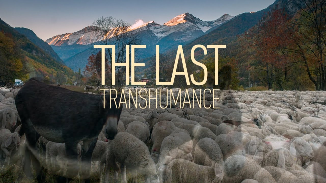 ULTIMA TRANSHUMANȚĂ - Trailer - de Dragoș Lumpan - YouTube