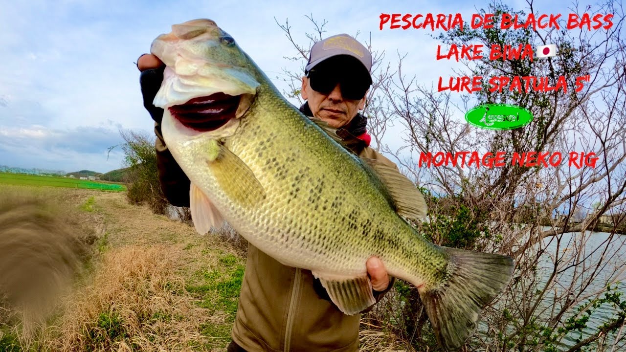 PESCARIA DE BLACK BASS - LAKE BIWA - LURE SPATULA 5" ISSEI - MONTAGEM ...