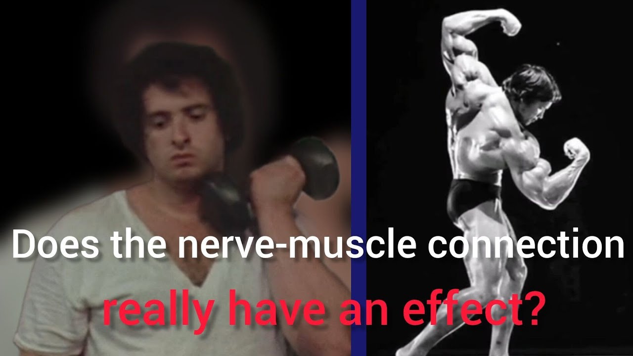 Arnold Schwarzenegger's Neuromuscular Training Tips for Maximum Muscle ...