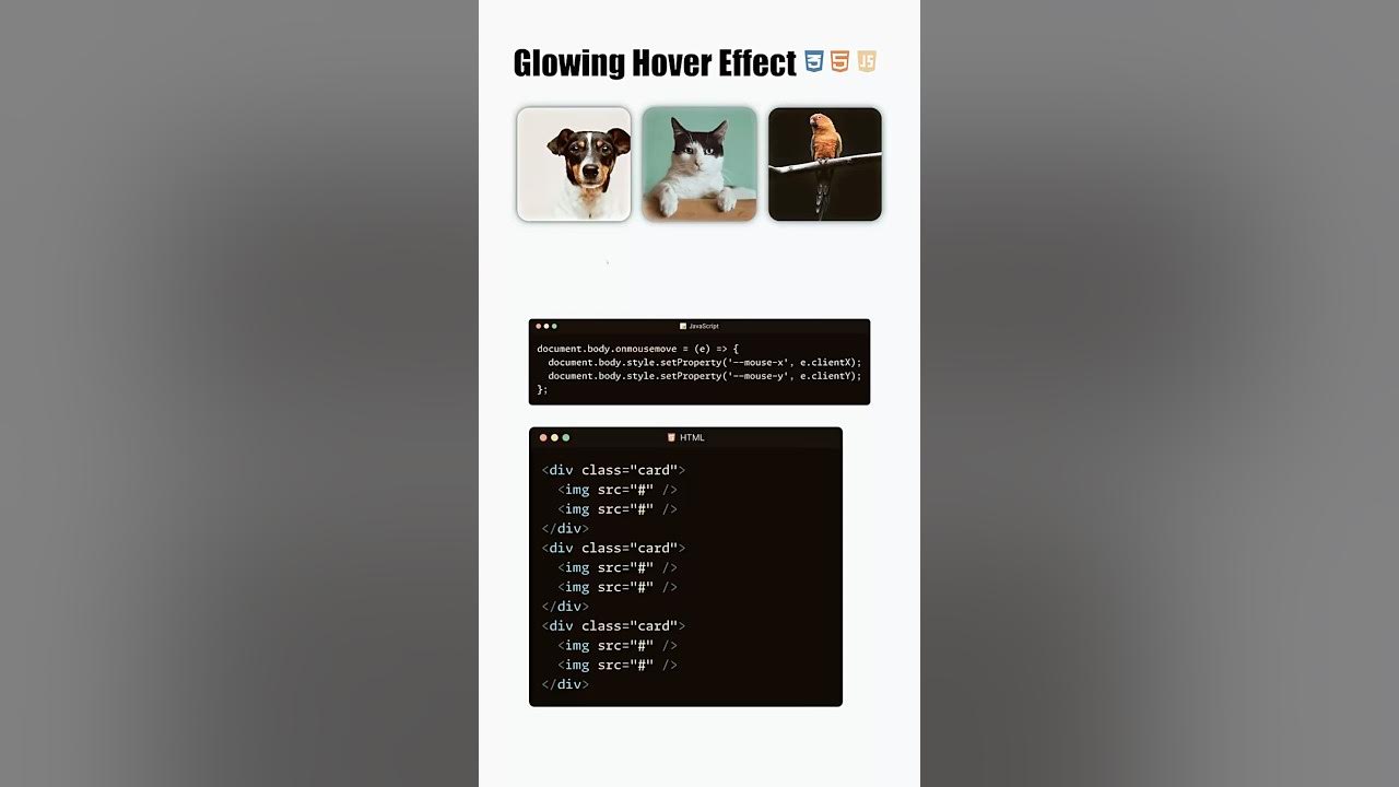 Glowing Hover Effect in CSS For website development #shorts #shortsfeed #shortsvideo #coding # ...