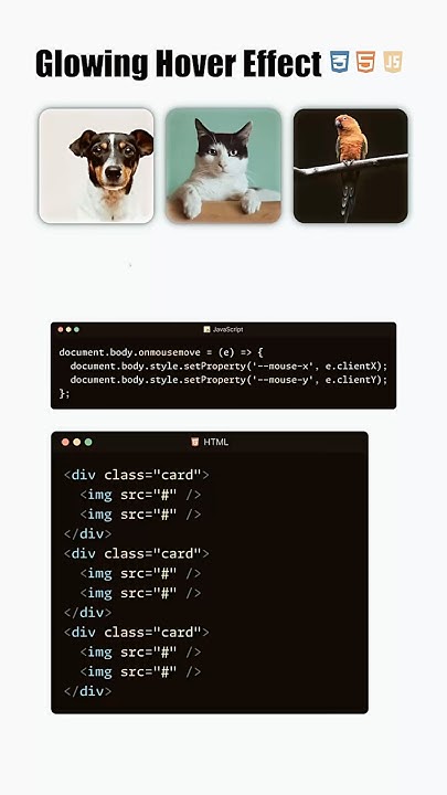 Glowing Hover Effect in CSS For website development #shorts #shortsfeed #shortsvideo #coding # ...