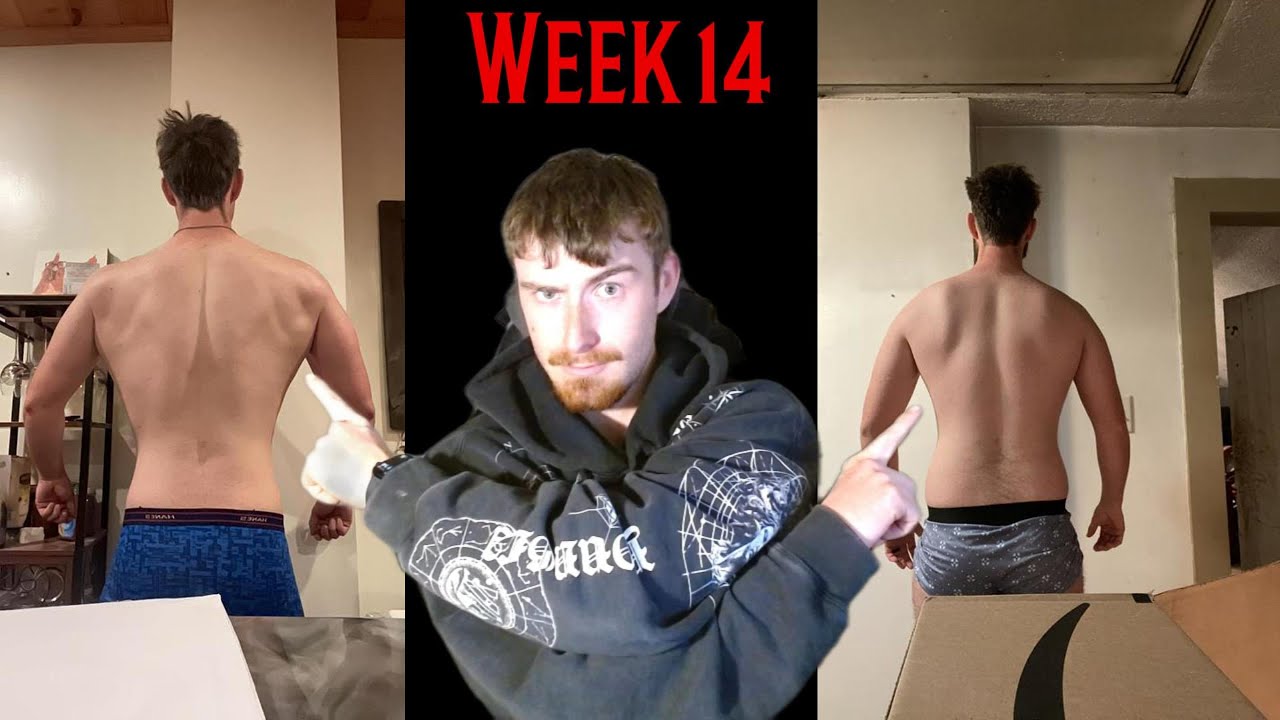 Week 14 Progress Update - YouTube