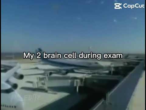 My brain cell - YouTube