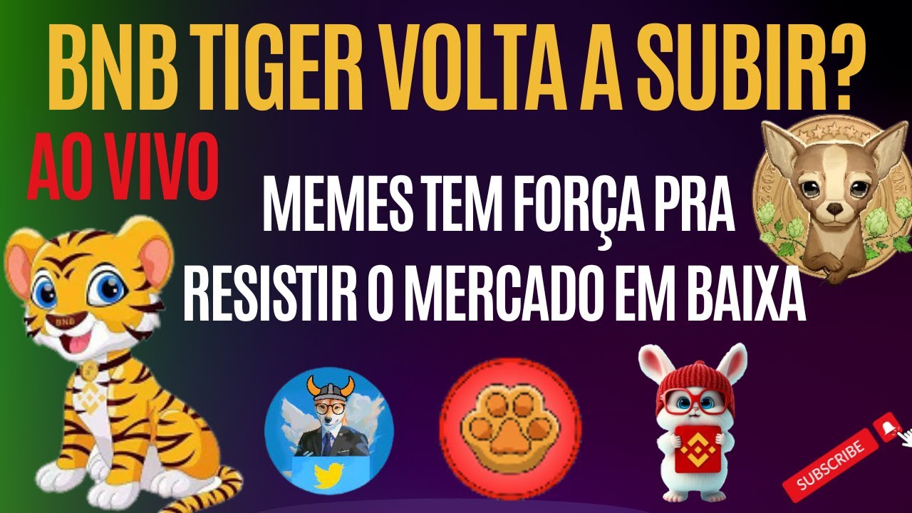 LIVE - BNB TIGER O QUE É PRECISO PRA VOLTAR SUBIR? -QUAIS MEMES VÃO ...