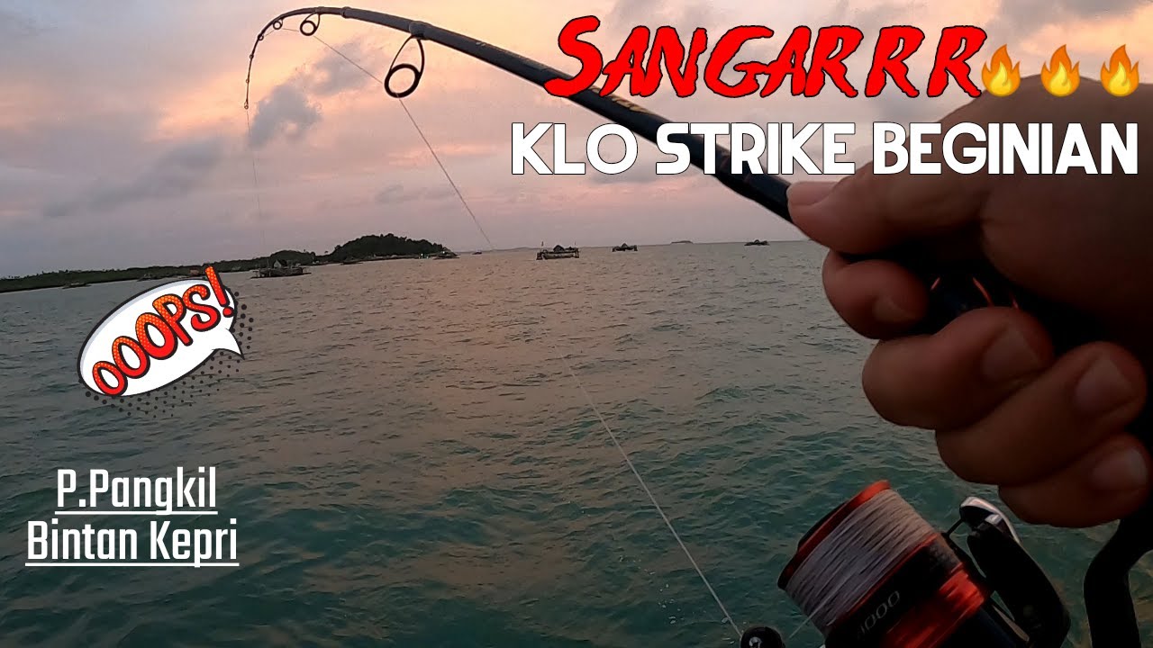 Mancing Candat Sotong Malam || Mancing Santai Di Kelong Apung ...
