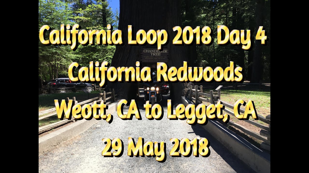 California Loop 2018 Day 4 - Redwoods / Chandler Tree - YouTube