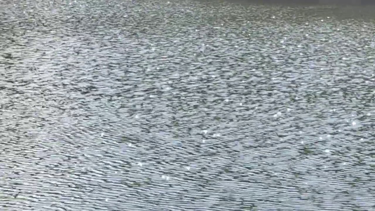 'Buli Tsho'.. - YouTube