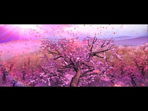 LED Background Flower 25 - YouTube