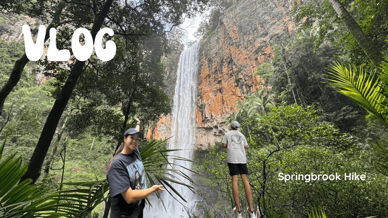 Vlog | Springbrook National Park Hike - YouTube