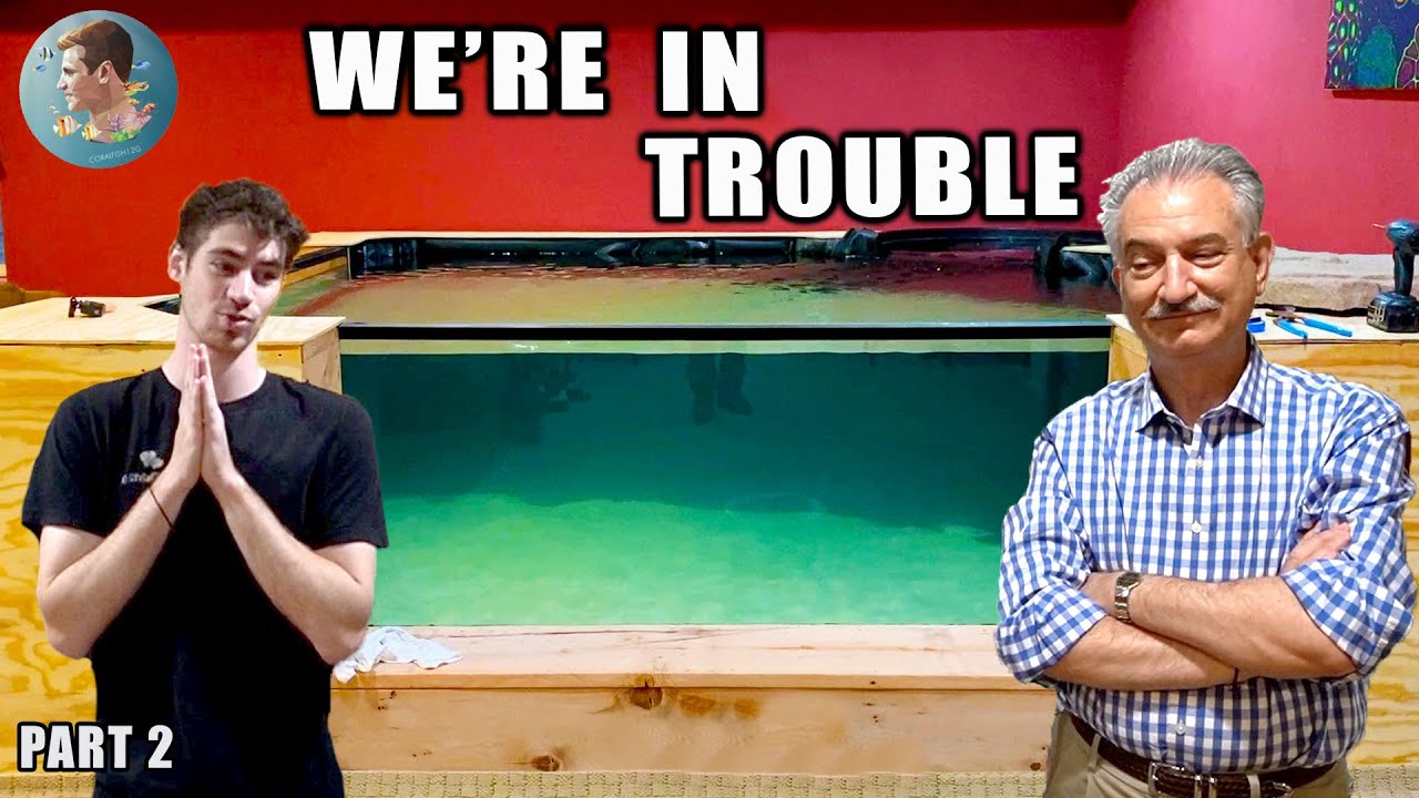Building the Basement *INDOOR POND* and Reveal! - Part 2 - YouTube