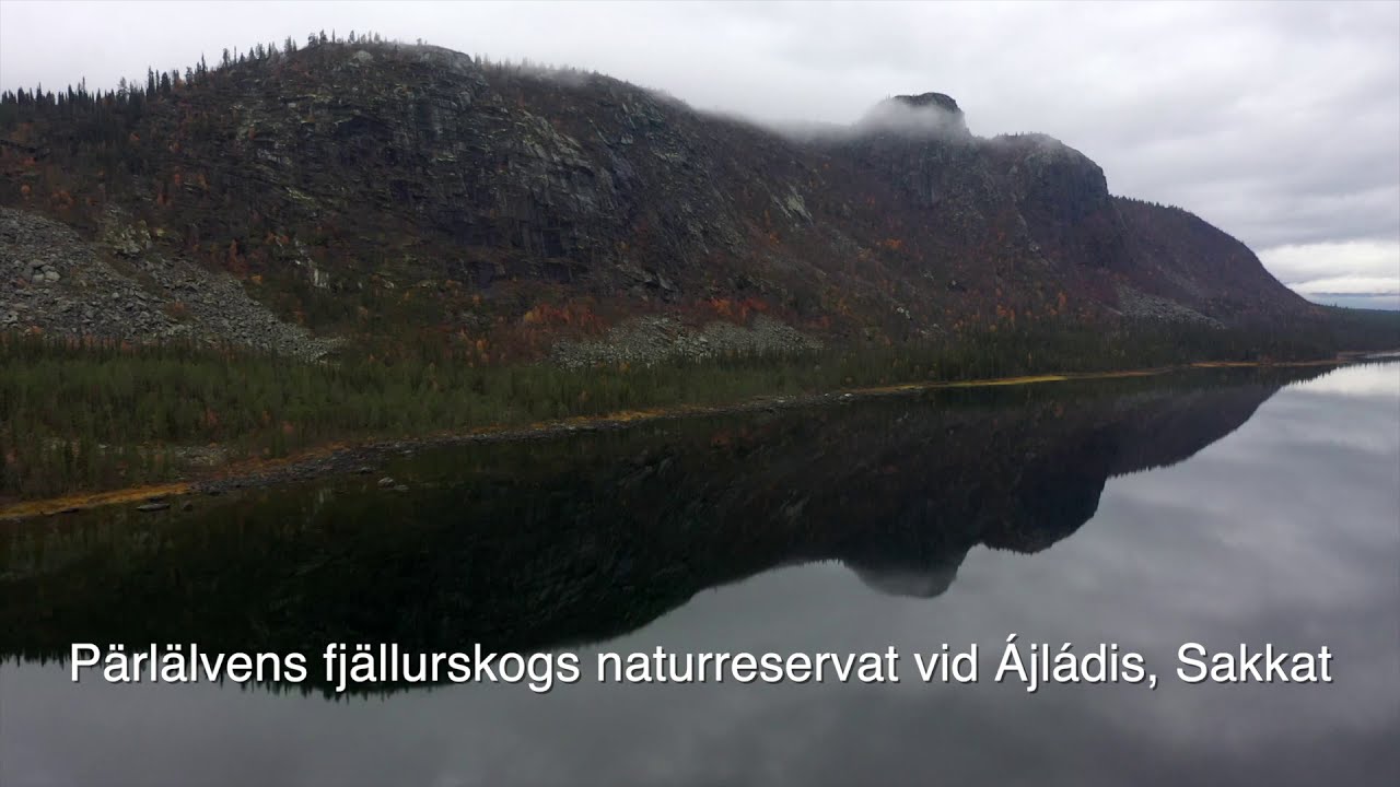 Ájládis vid Sakkat, Pärlälvens FUR - YouTube