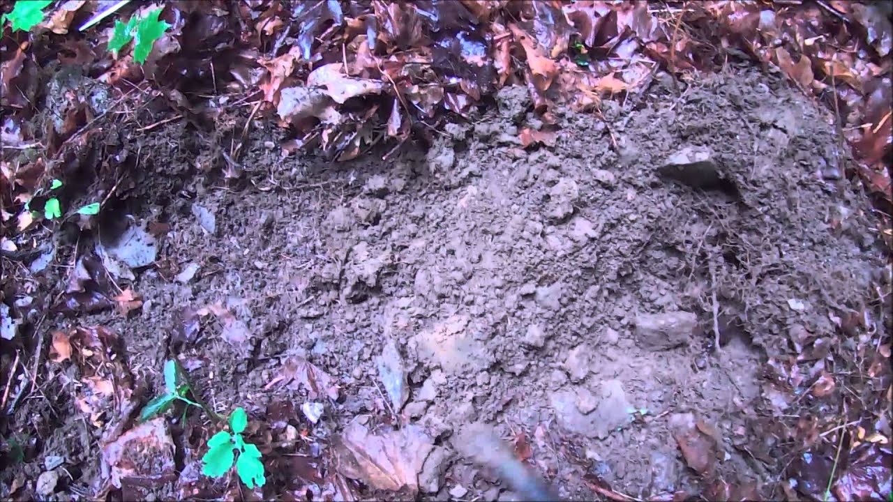 A Great Day at Button Hill - YouTube