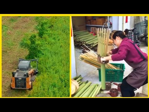 Teknologi Pertanian Modern ! Mesin Pembersih Semak Belukar dan Alat ...