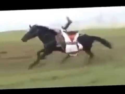 13397375 124241551329542 450802107 n