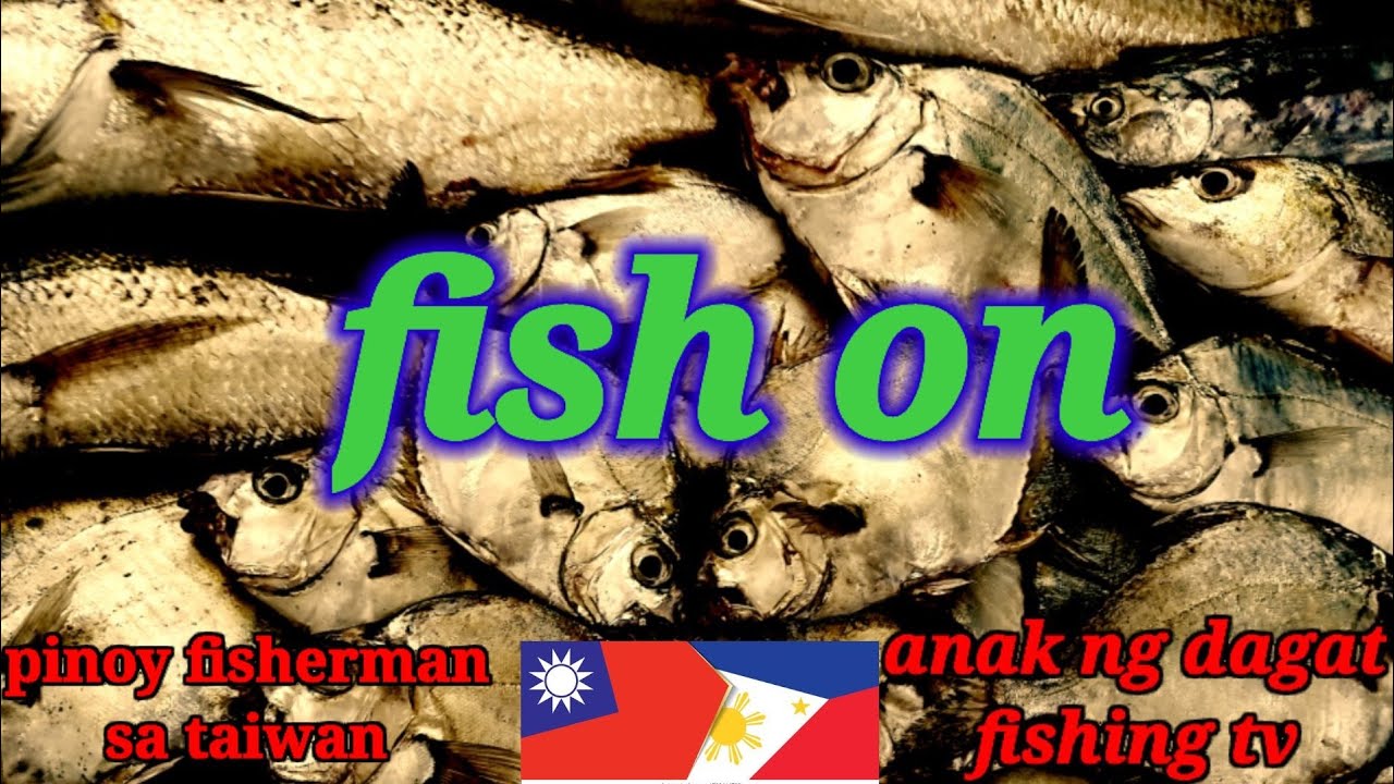 Fish on🐠Jackpot na naman🙏SapSap|Best net fishing in Taiwan@Anak ng ...