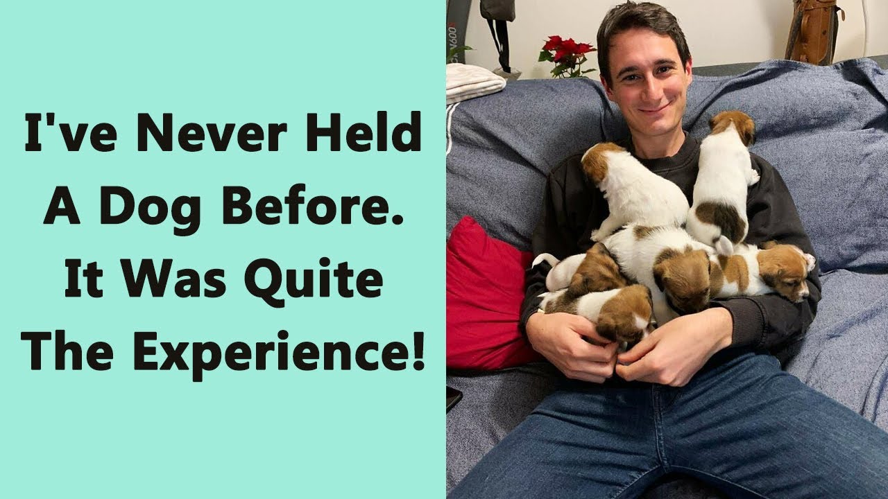 50 Heartwarming Dog Posts Guaranteed To Brighten Your Day (New Pics ...