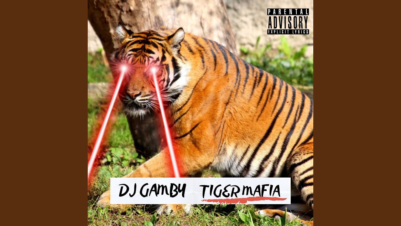 Tiger Mafia - YouTube