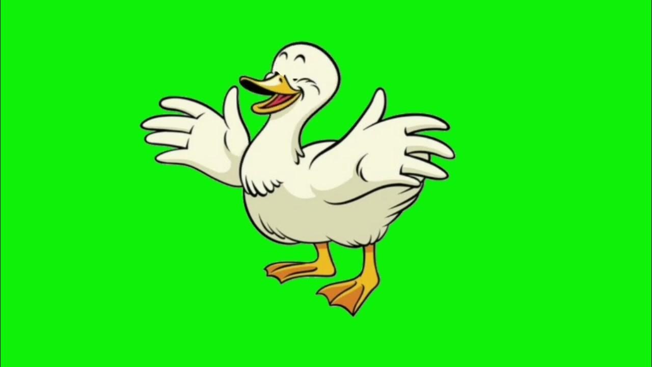 Animated green screen duck | No copyright | Animation world - YouTube