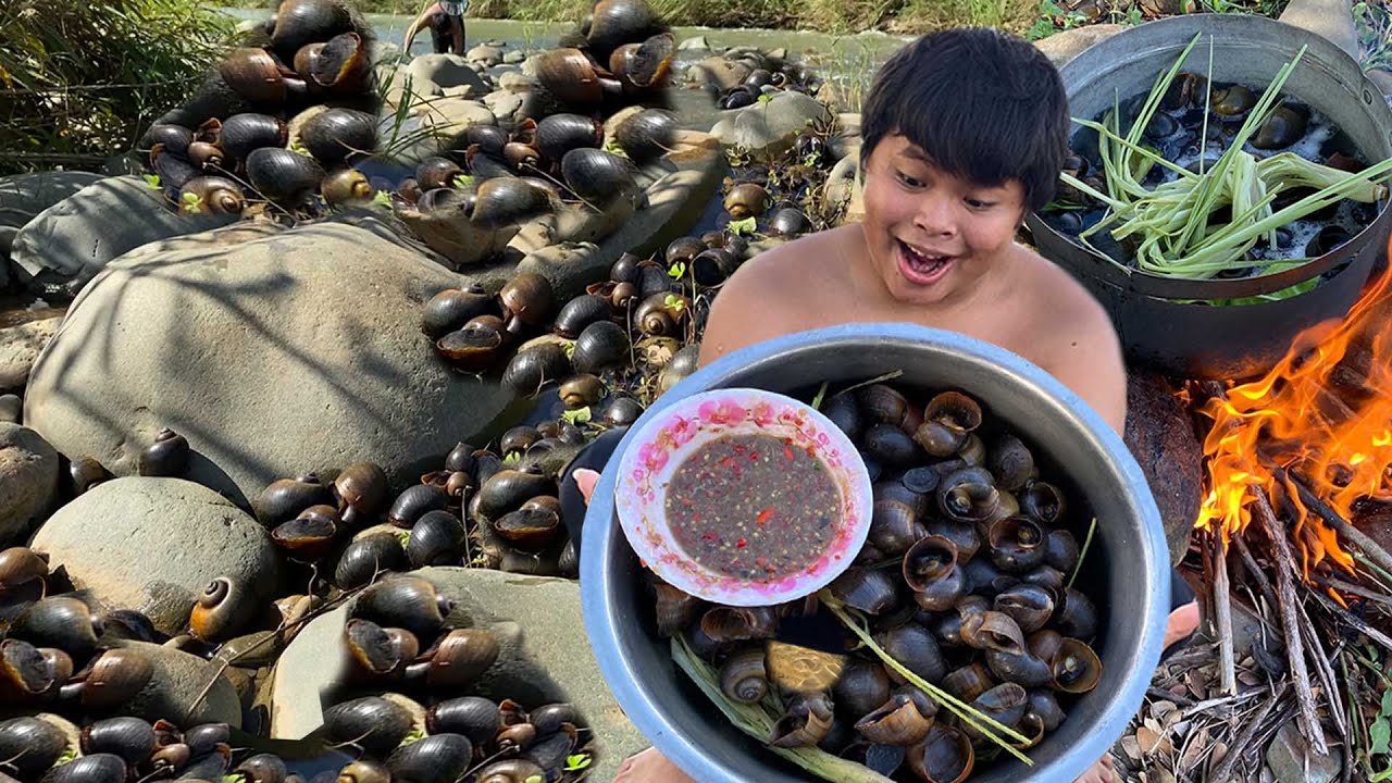 Technology Skills Food - Awesome Cooking Snail With Coconut - Prahok ...