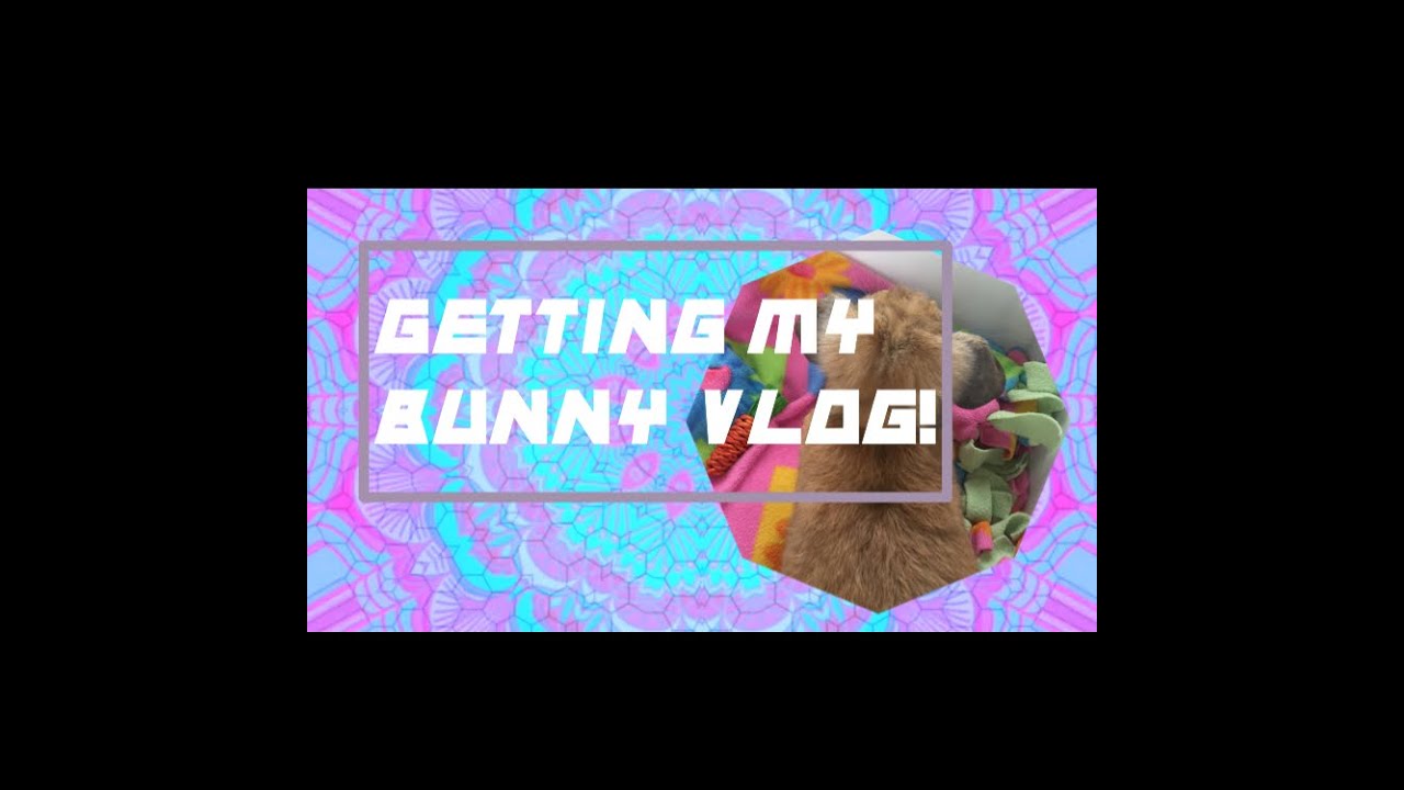 GETTING MY BUNNY VLOG! | Mikey (love the cringe) - YouTube