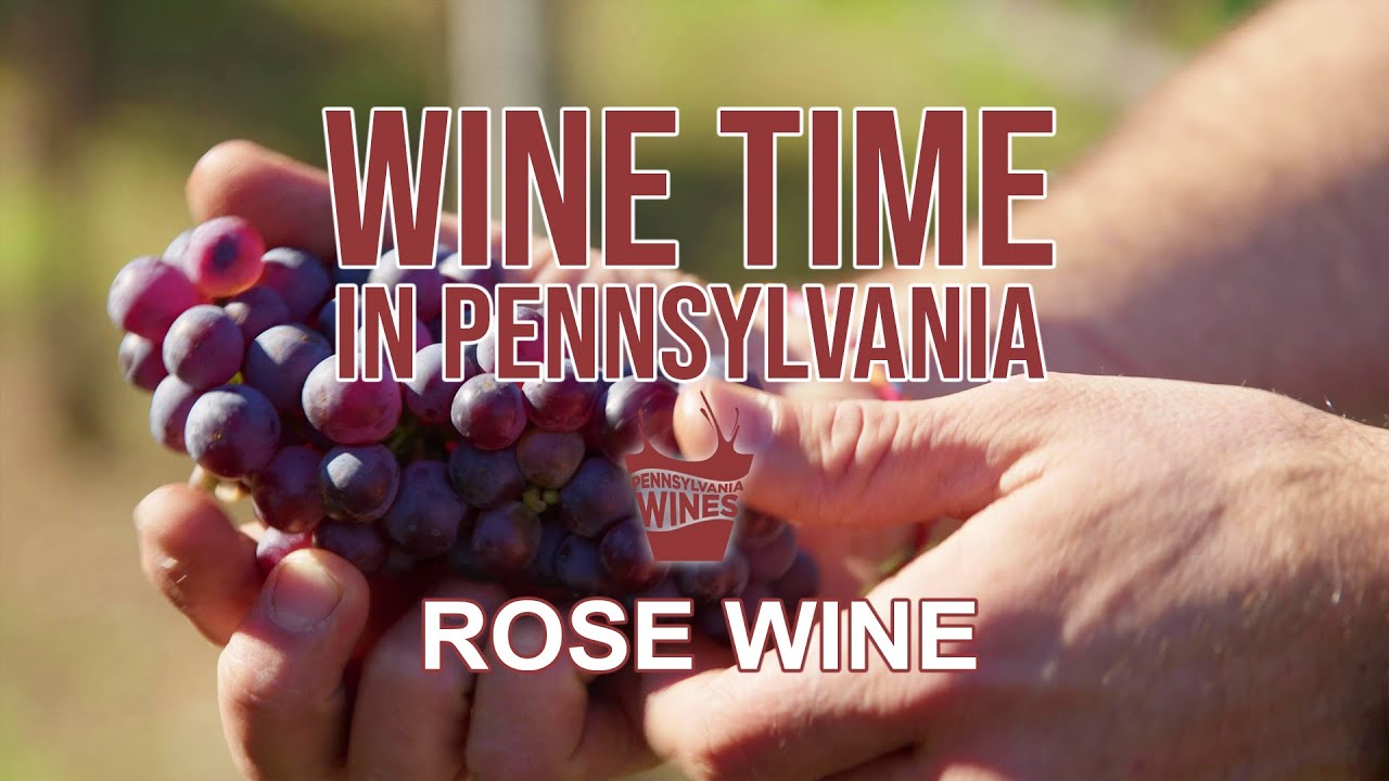 Rosé Grapes Harvest and Preparation | Wine Time - Season 2, Ep 5 - YouTube