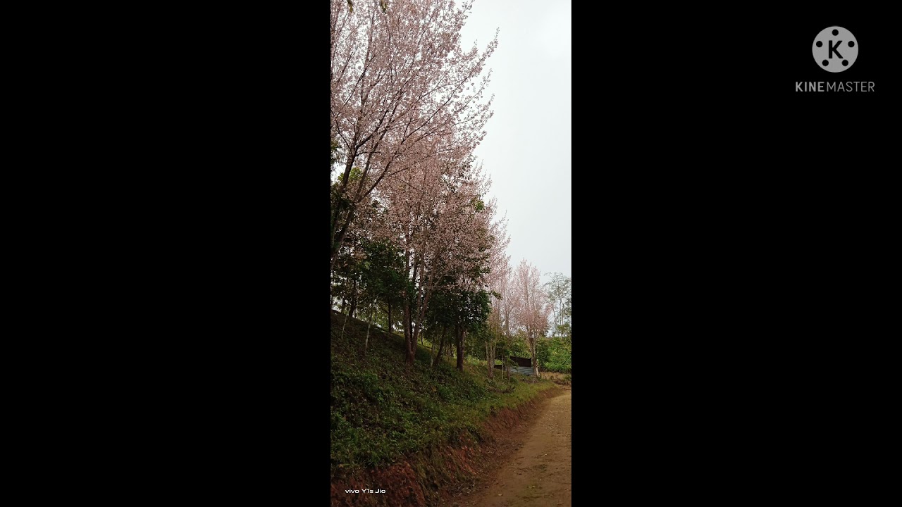 The beauty of khambi village 2021... - YouTube