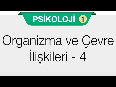 Psikolojinin Temel Süreçleri - Duyum ve Algı 4.Bölüm