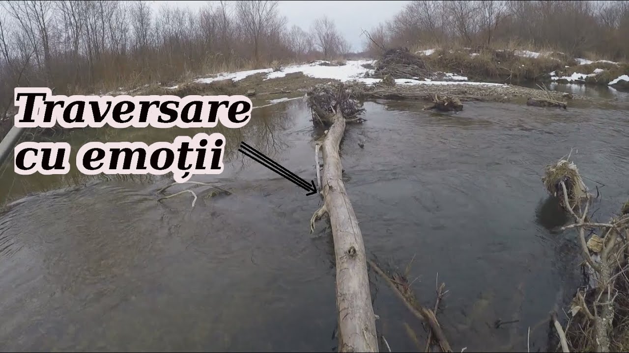 Pescuit pe raul Suceava 2020 - YouTube