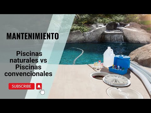 La verdad sobre el mantenimiento de piscinas naturales (explicado fácil)