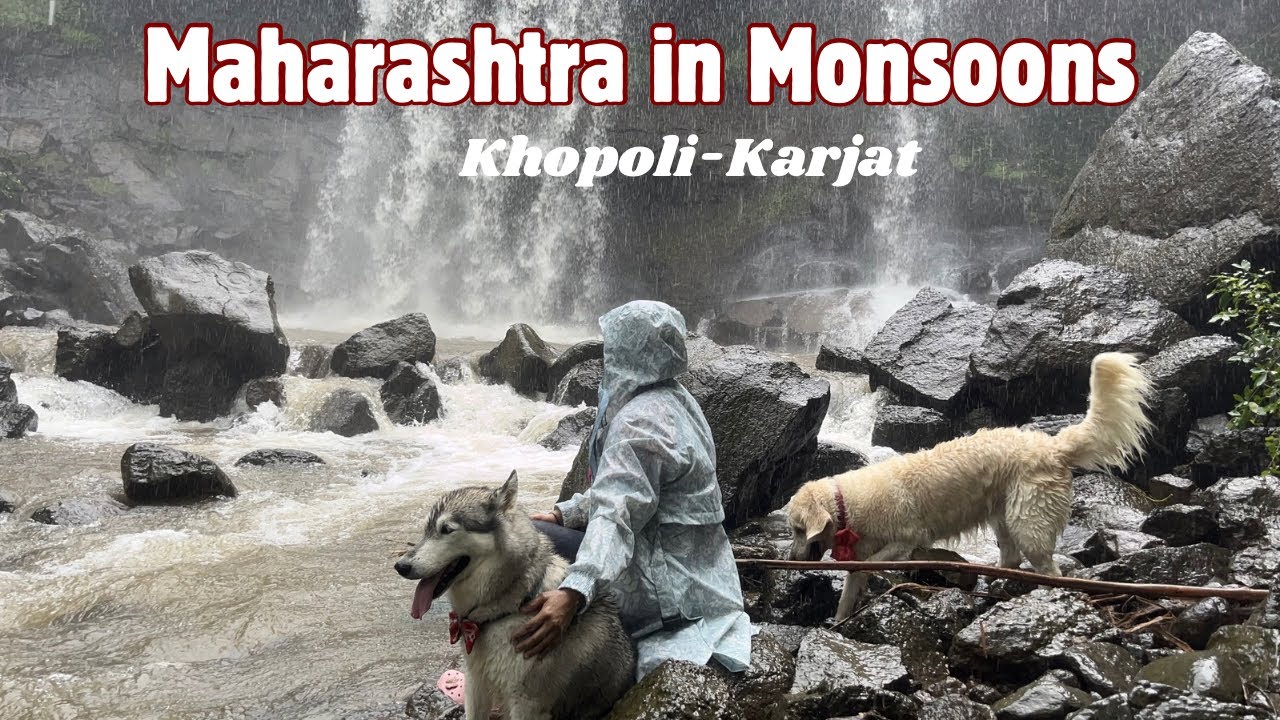 Kalote waterfall | No trek Picnic spot near Mumbai-Pune - YouTube