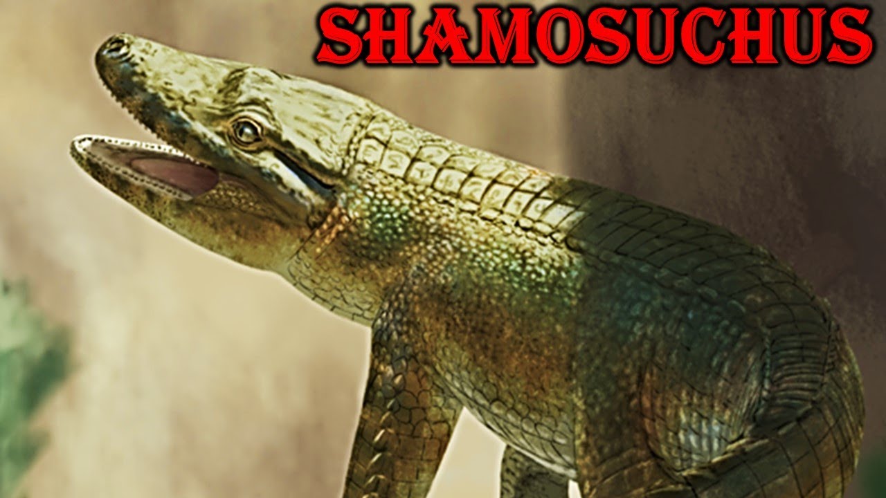 shamosuchus - YouTube