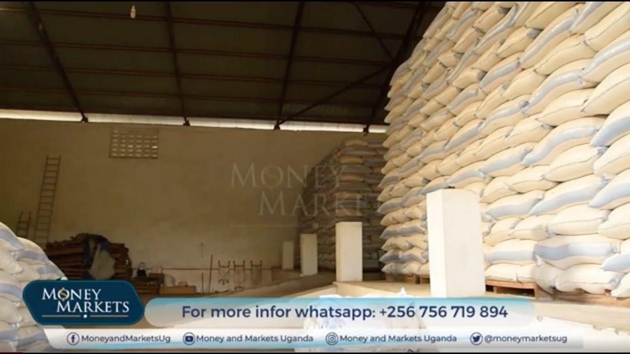 Fighting Post Harvest Loses - YouTube