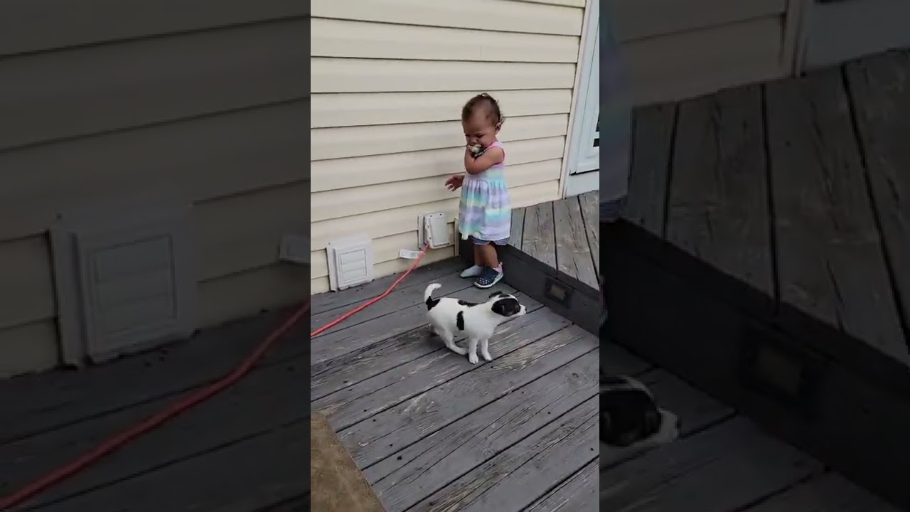 Sofia and Riley take 2. - YouTube