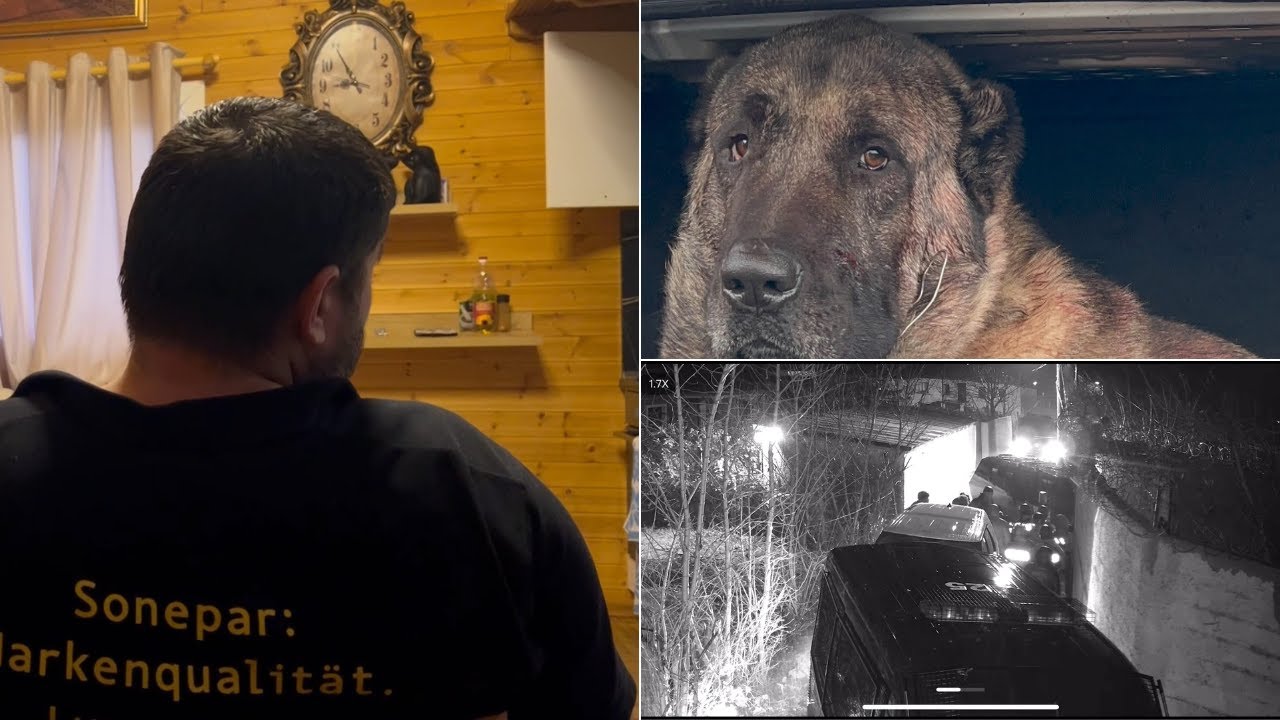 50 forca të FNSH dhe RENEA "zbarkojnë" në banesën e vëllait të Eljon ...