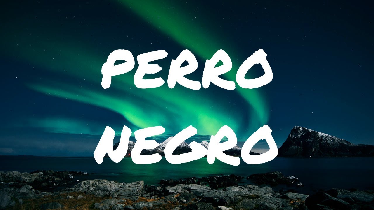 Bad Bunny, Feid - PERRO NEGRO (Letra Lyrics) - YouTube