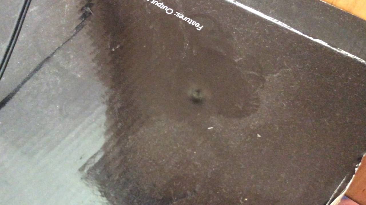 Breakdancing Fly - YouTube