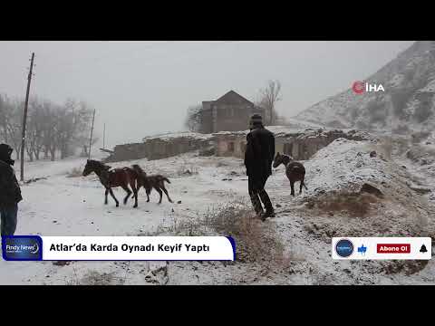 Atlar’da Karda Oynadı Keyif Yaptı