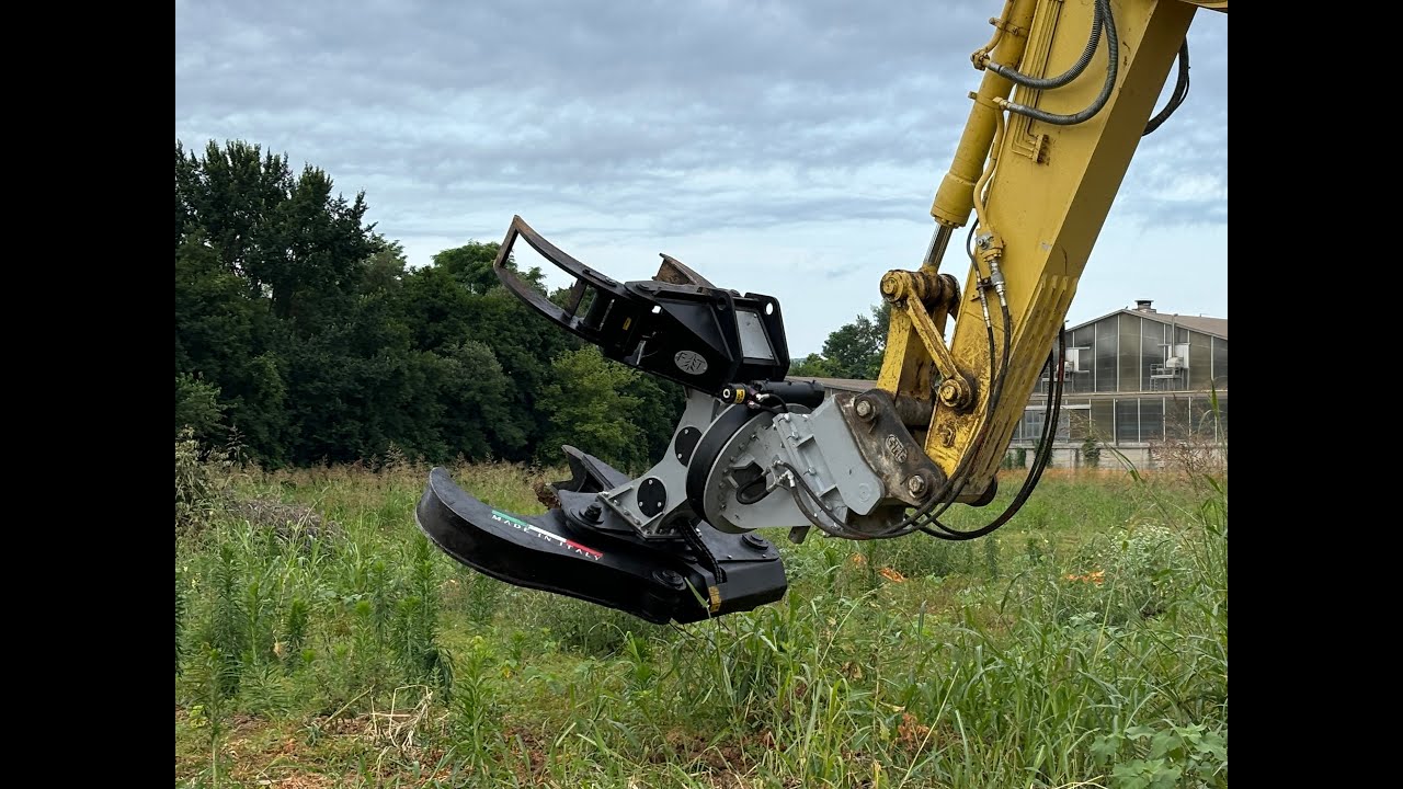 Cesoia forestale per escavatore Foresteck - Grizzly XL - YouTube