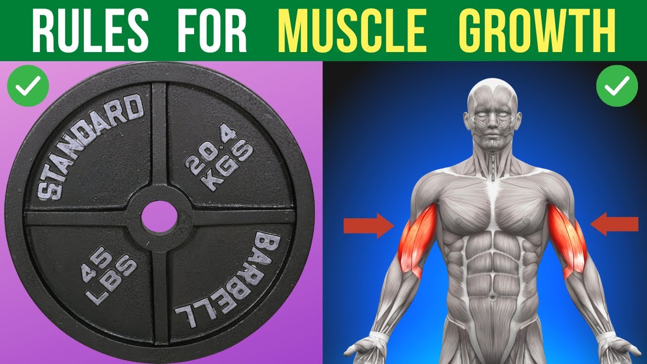 The Top 7 Hypertrophy Training Tips That Will Help You Grow - YouTube