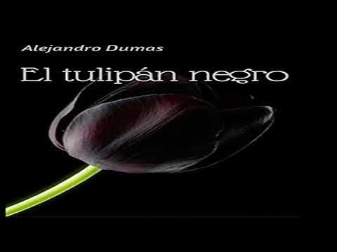Resumen del libro El tulipán negro (Alejandro Dumas) - YouTube