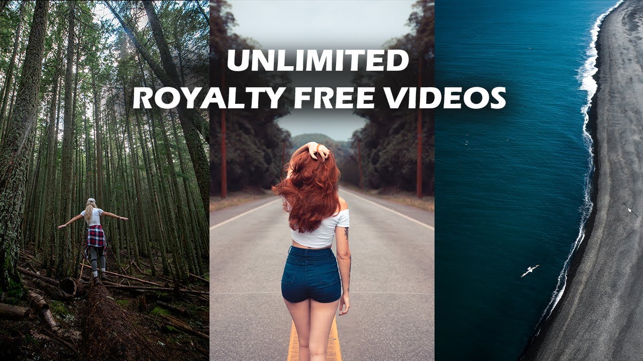 Unlimited Stock Video Footage For Free | Top 5 Website | Copyright Free ...