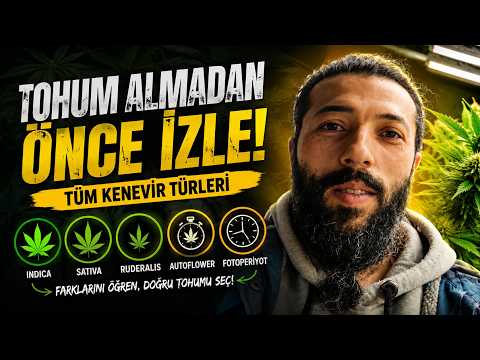 Kenevir Türleri: Bilmen Gereken Her Şey