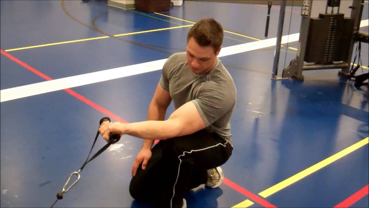 BCS: THE Best Arm Exercise Routine for Ripped Biceps & Triceps - YouTube