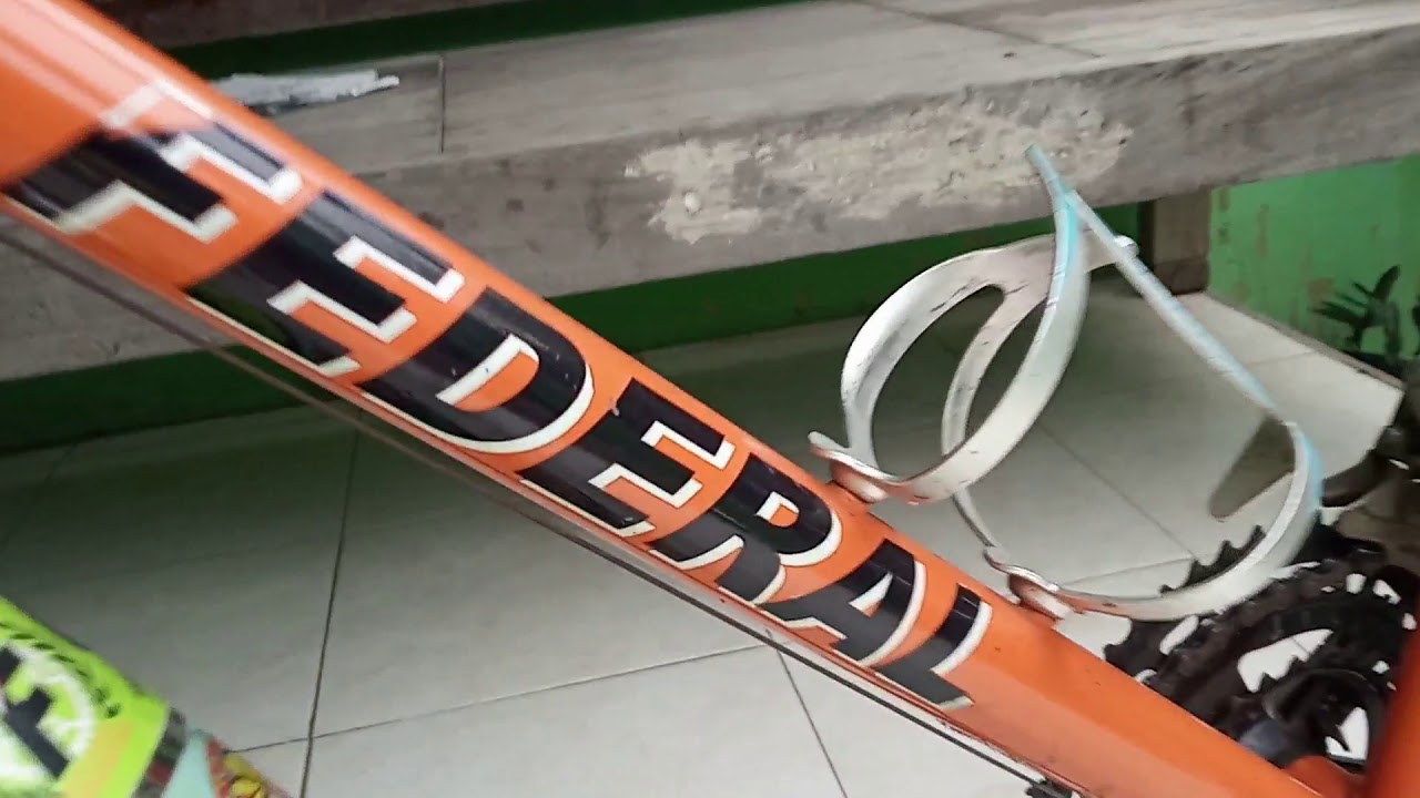 Federal City Cat Orange - YouTube