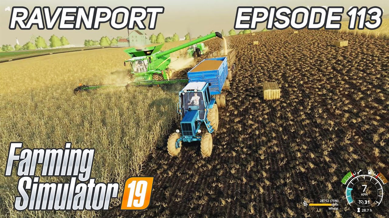 Massive Wheat Harvesting For Large Field | FS19 | Farming Simulator 19 ...