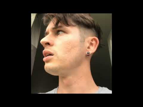 Who's horse is that viral tiktok (NEW TREND)