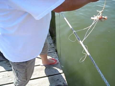 handline crabbing - YouTube